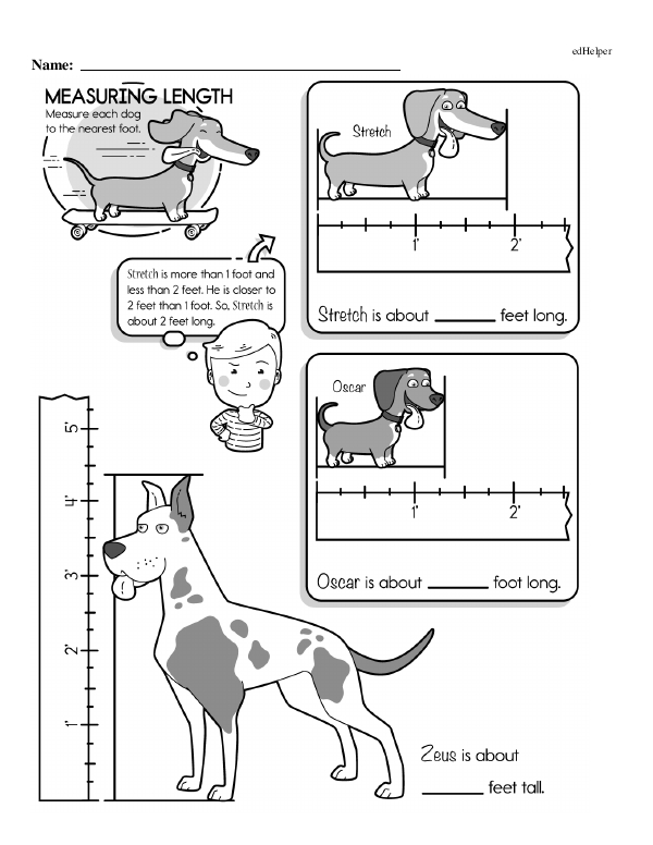 Customary Length, Weight, and Capacity (Math Chapter Workbook)