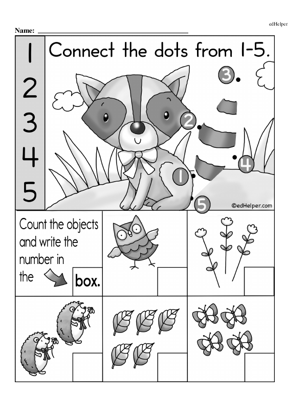 Numbers to 5 (Math Chapter Workbook)